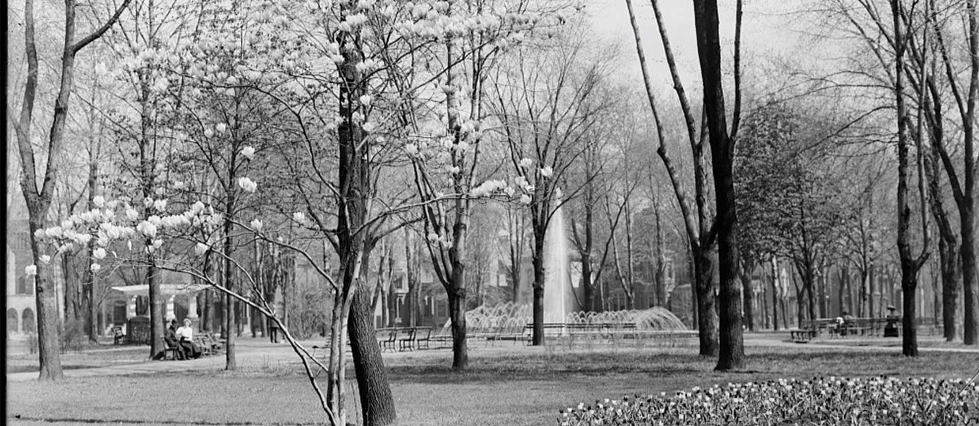 Cass Park | City of Detroit