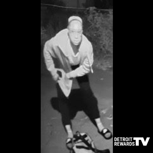 Breaking and Entering in the 8th Precinct | City of Detroit