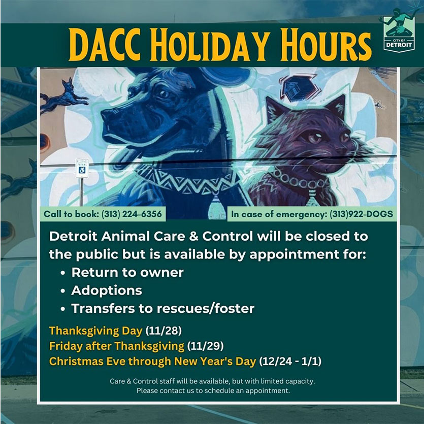 Detroit Animal Care and Control | City of Detroit