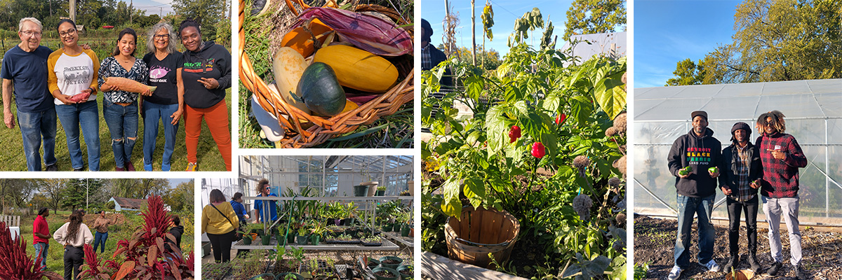 Urban Agriculture | City of Detroit